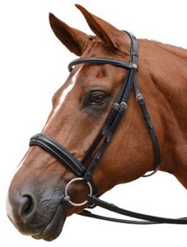 What is a Horse Bridle? Parts, Uses, Types & FAQs Answered
