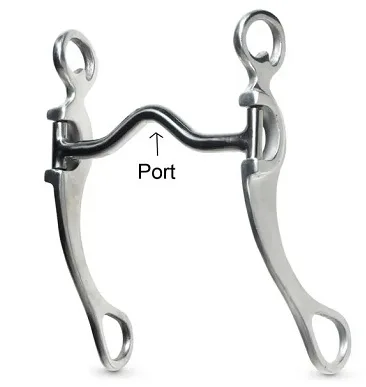 Horse Bit Severity Chart With Bits in Order of Harshness