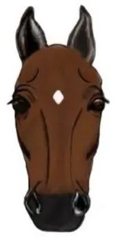 15 Common Horse Face & Leg Markings With Pictures