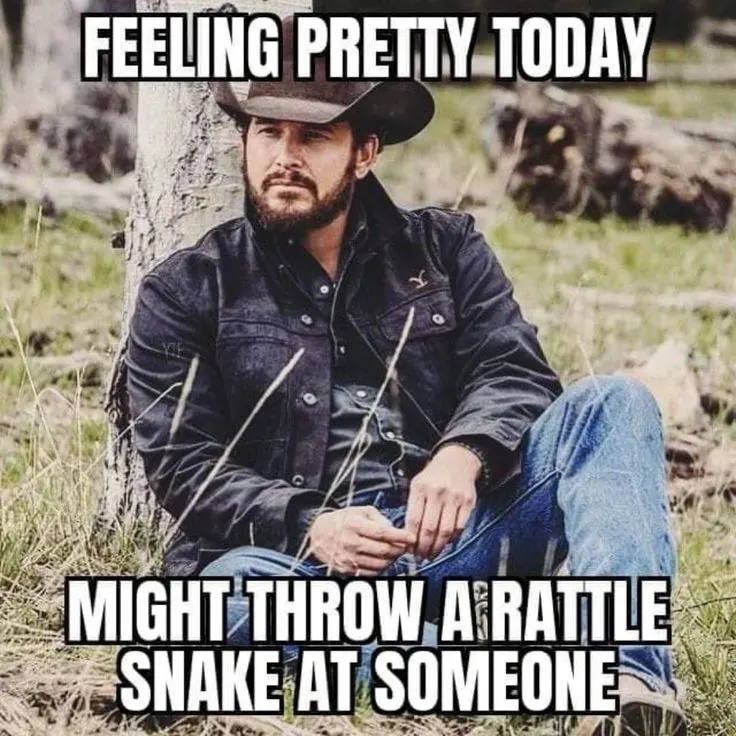 30 Best Yellowstone Memes Beth Rip Train Station And More