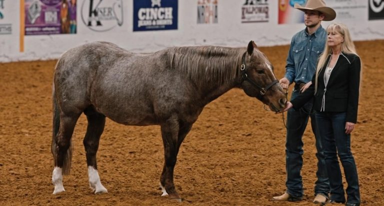 Who Owns Metallic Cat? Famous Cutting Horse Seen in Yellowstone