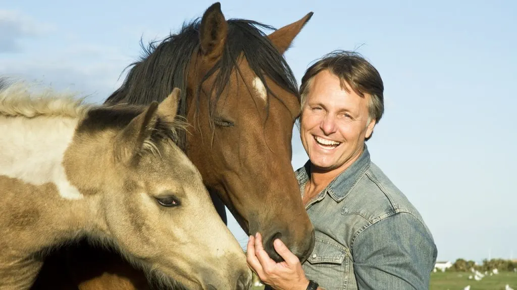 180+ Best Male Horse Names For Geldings and Stallions