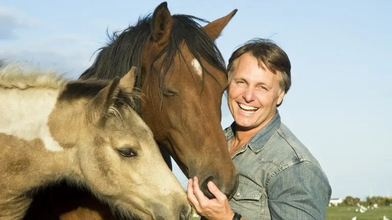 180+ Best Male Horse Names For Geldings and Stallions