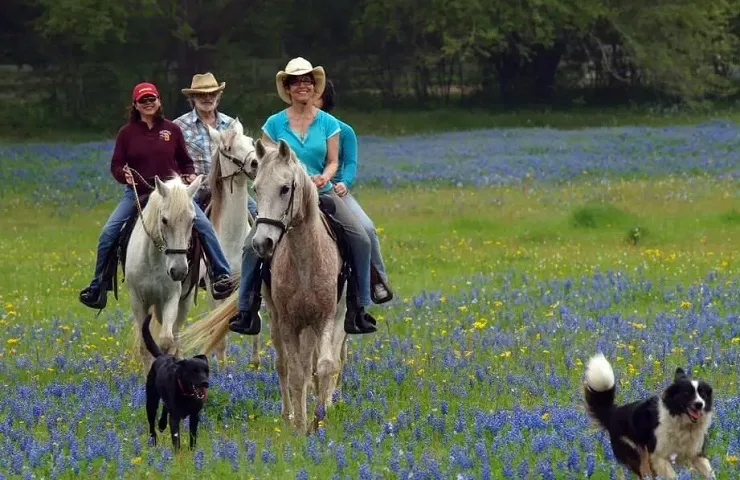 8 Best Guest & Dude Ranches In Texas To Visit