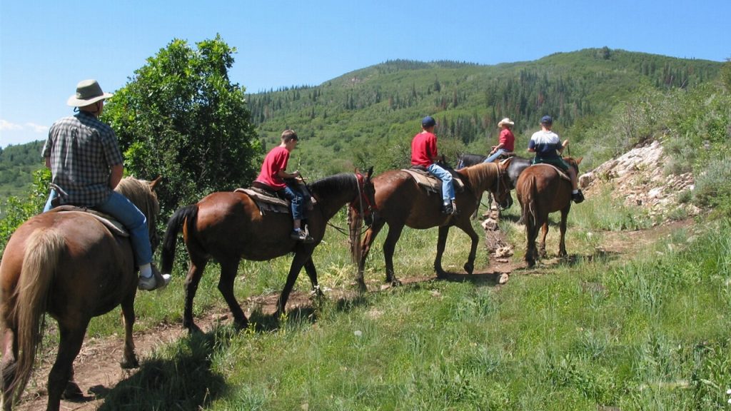 8 Best Guest & Dude Ranches in California