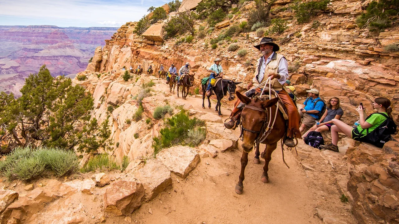 15 Best Guest & Dude Ranches in the US