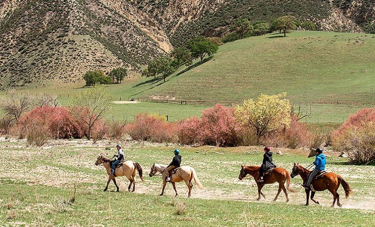 8 Best Guest & Dude Ranches in California