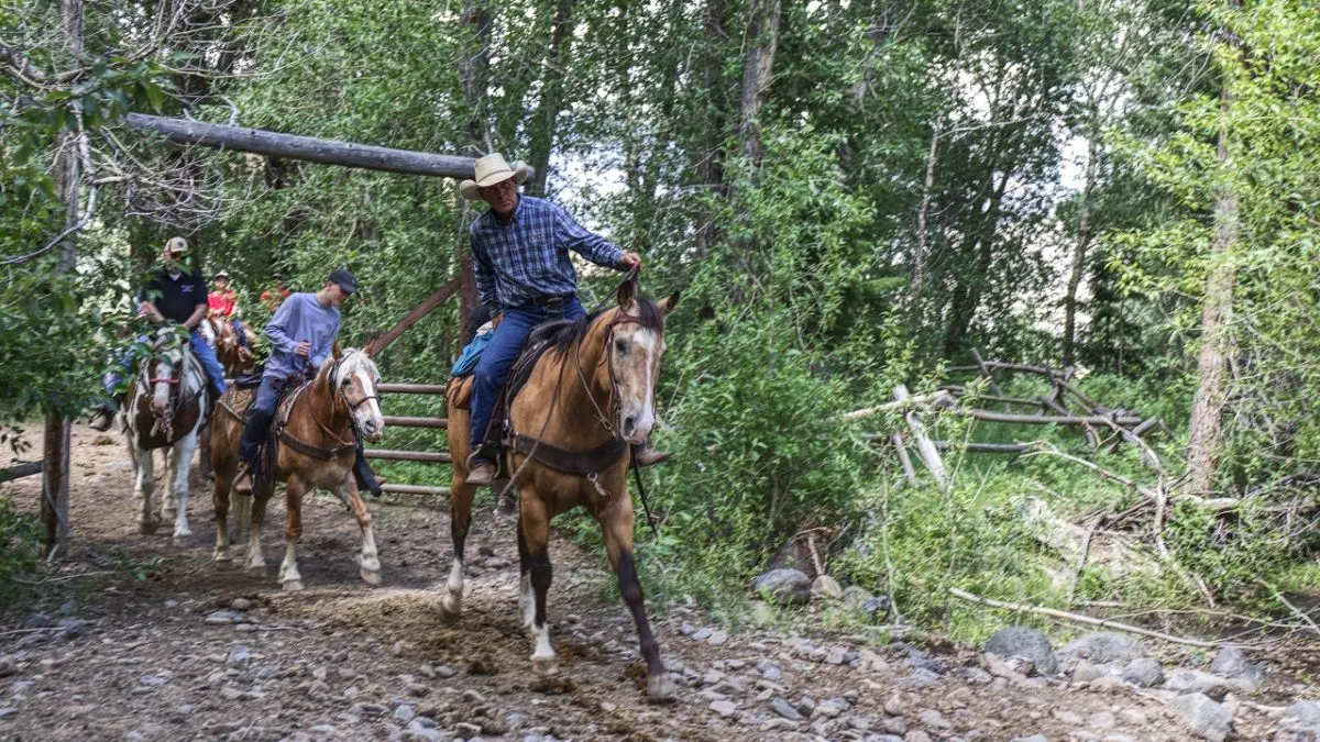 5 Best Guest & Dude Ranches in Kentucky