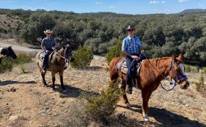 8 Best Guest & Dude Ranches In Texas To Visit