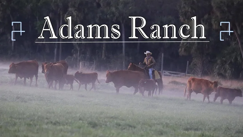 6 Biggest Ranches in Florida