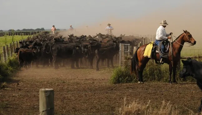 6 Biggest Ranches in Florida