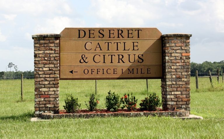 6 Biggest Ranches in Florida