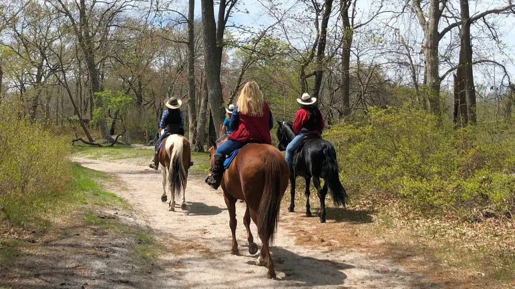 19 Best New York Horse Riding Trails, Beaches, and Centers