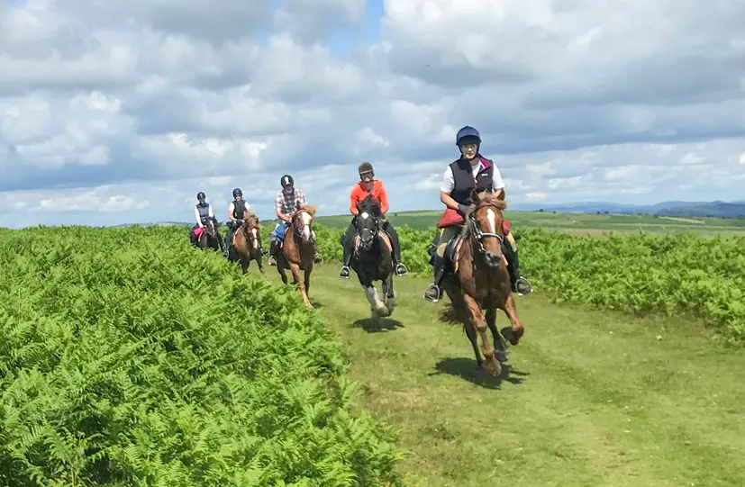 15 Best Horse Riding Holidays in the UK