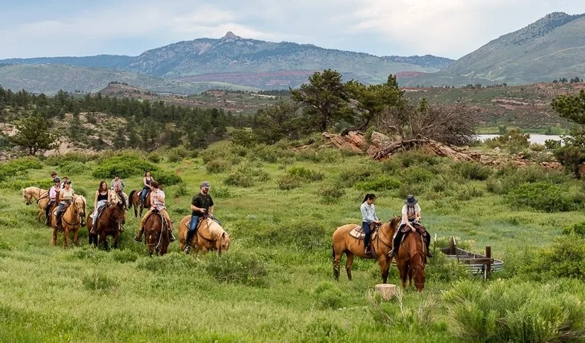 8 Best Working Cattle Ranch Vacations in the US
