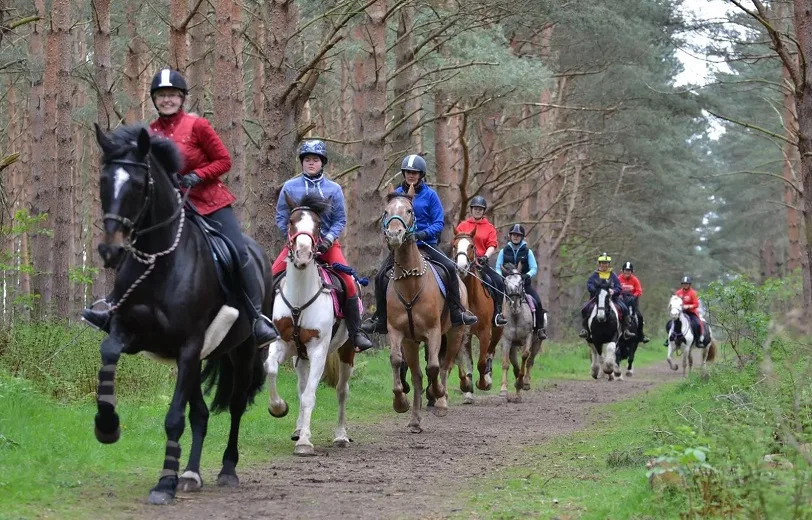 15 Best Horse Riding Holidays in the UK